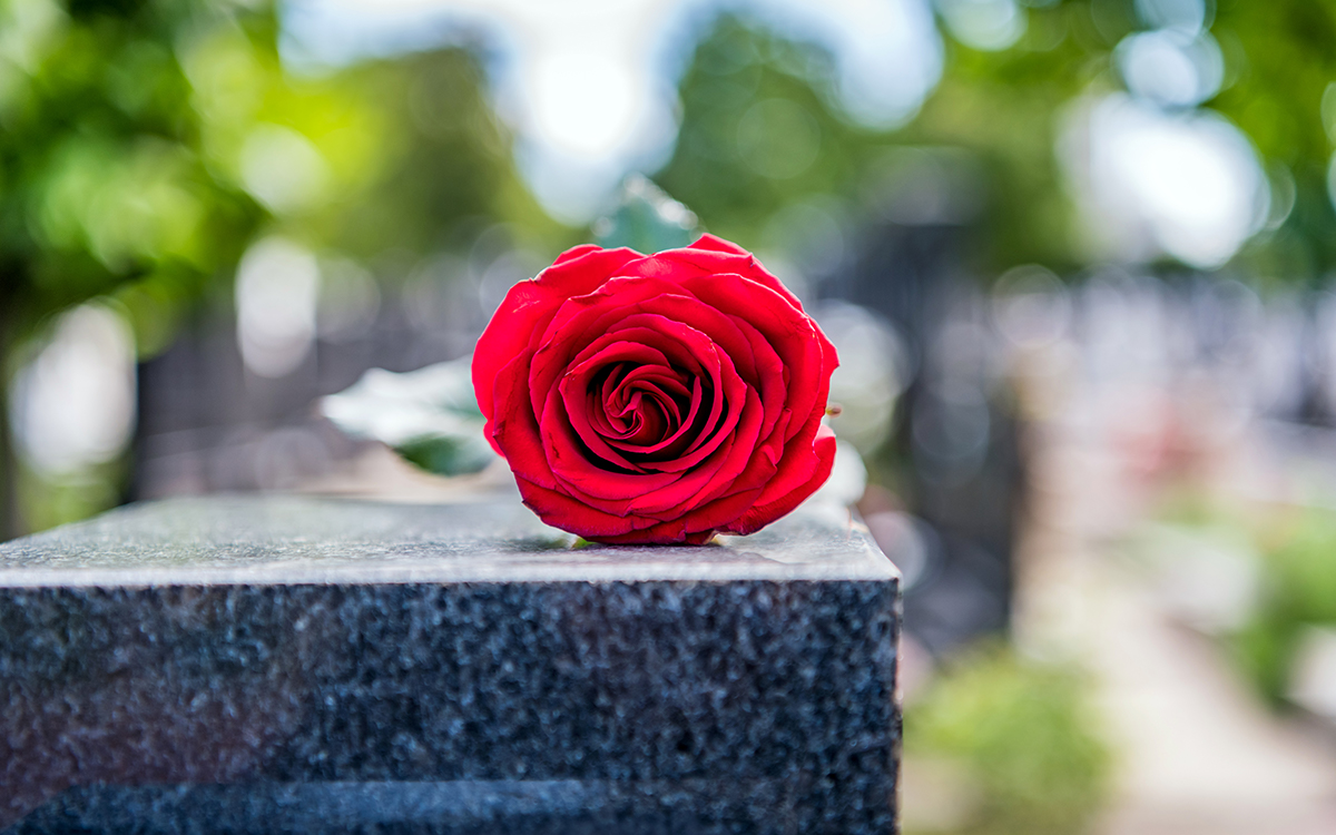 Final Expense Life Insurance 101 | Fidelity Life