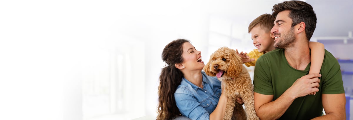 What is Term Life Insurance and How Does it Work | Fidelity Life